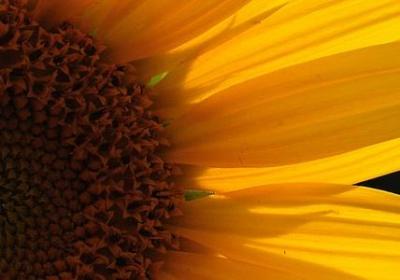 描写比赛前紧张的句子(热门50句)